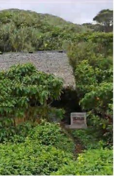 Eine nachhaltige Infrastruktur für das Projekt Cusumbí in Ecuador ...